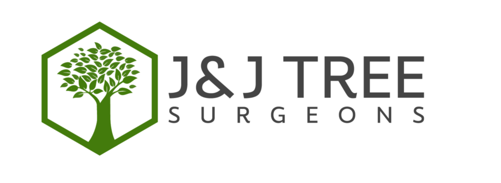 Tree Arborist - J&J Tree Surgeon